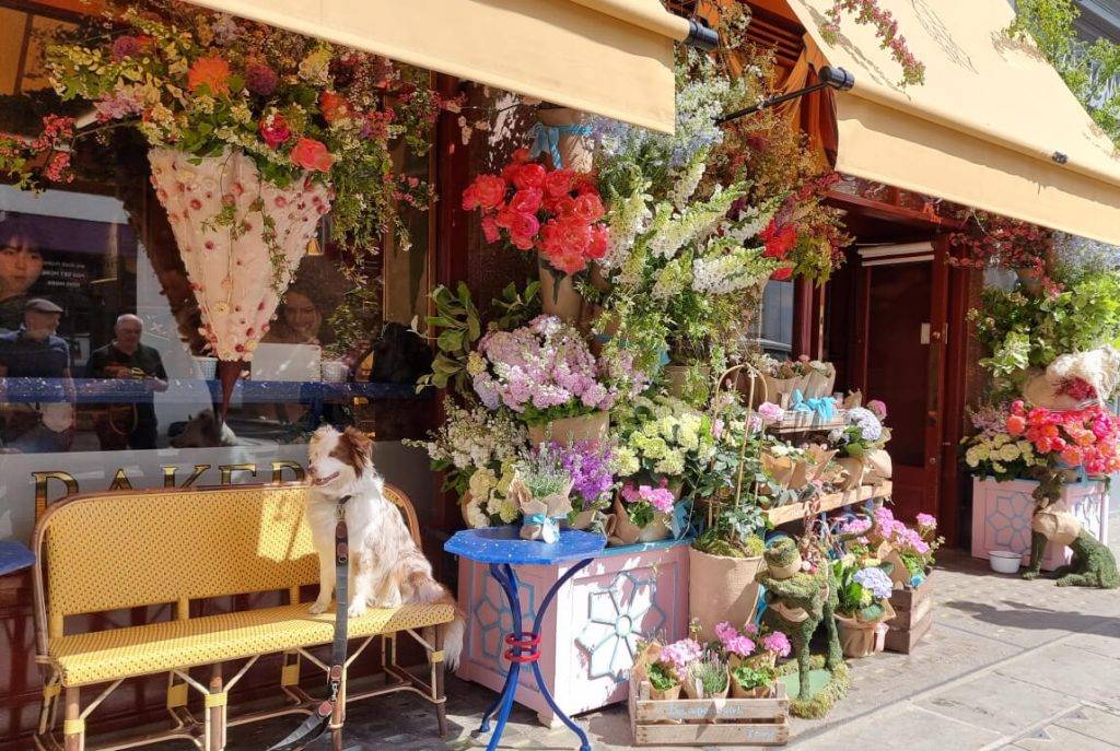 Florist in London – NB Flowers